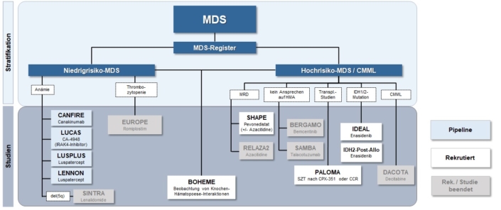 Deutsche MDS-Studiengruppe (D-MDS): AG Klinische Forschung